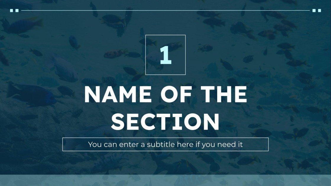 Wonders of the Ocean: Marine Life Presentation