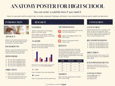 Anatomy Poster for High School Presentation