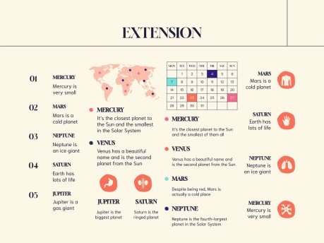 Anatomy Poster for High School Presentation