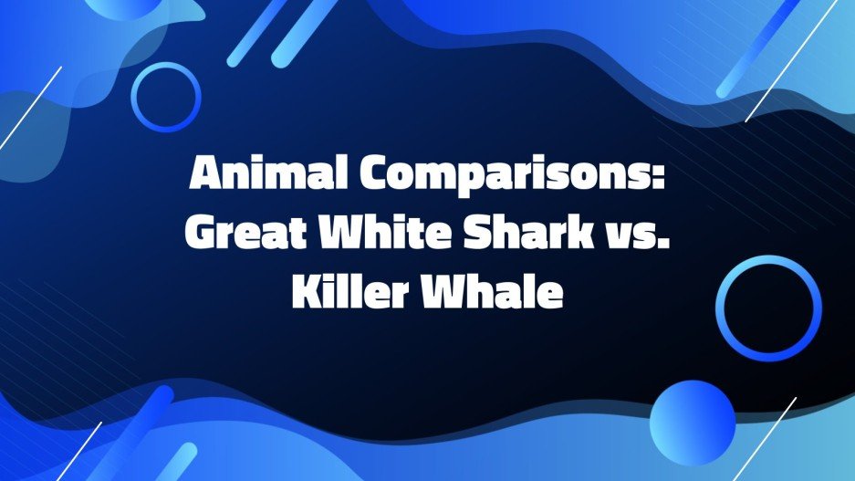 Free Google Slides and PowerPoint templates about sharks