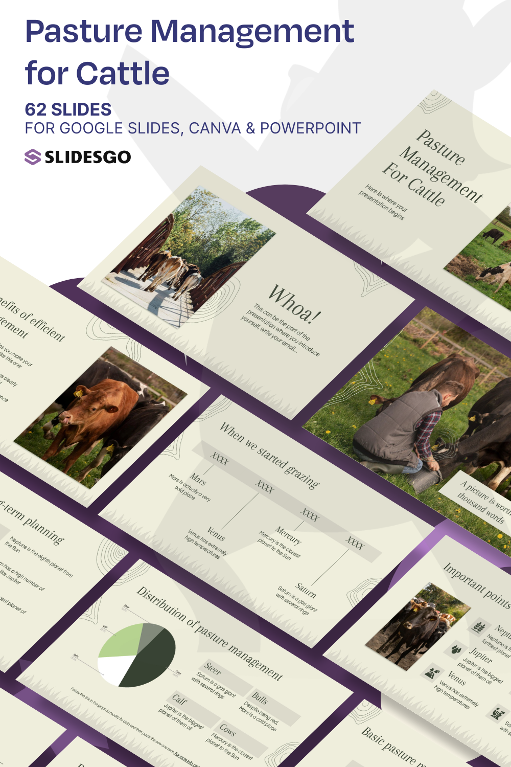 Pasture Management for Cattle Presentation