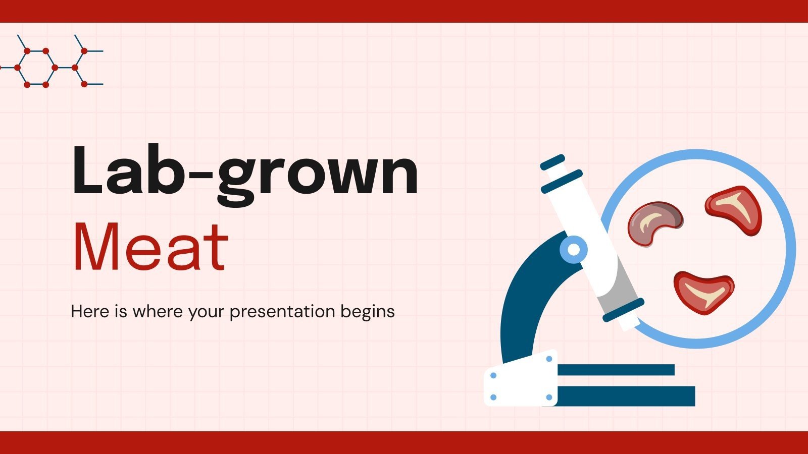 Lab-grown Meat Presentation