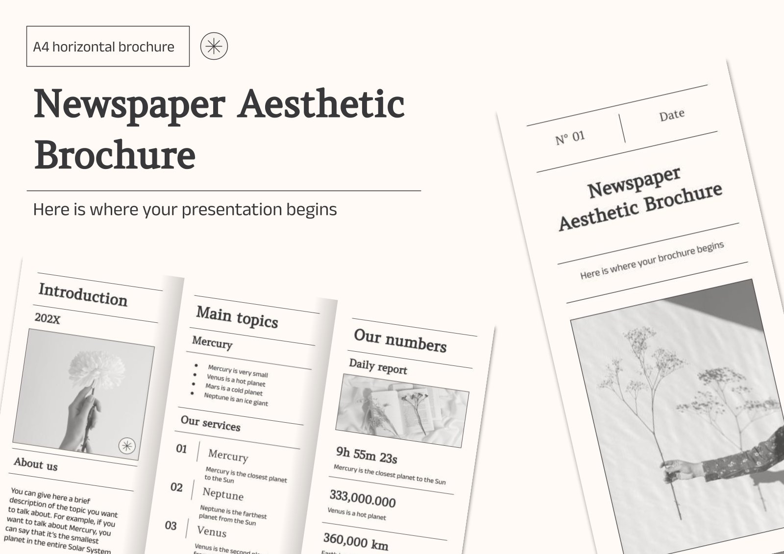 Newspaper Aesthetic Brochure Presentation