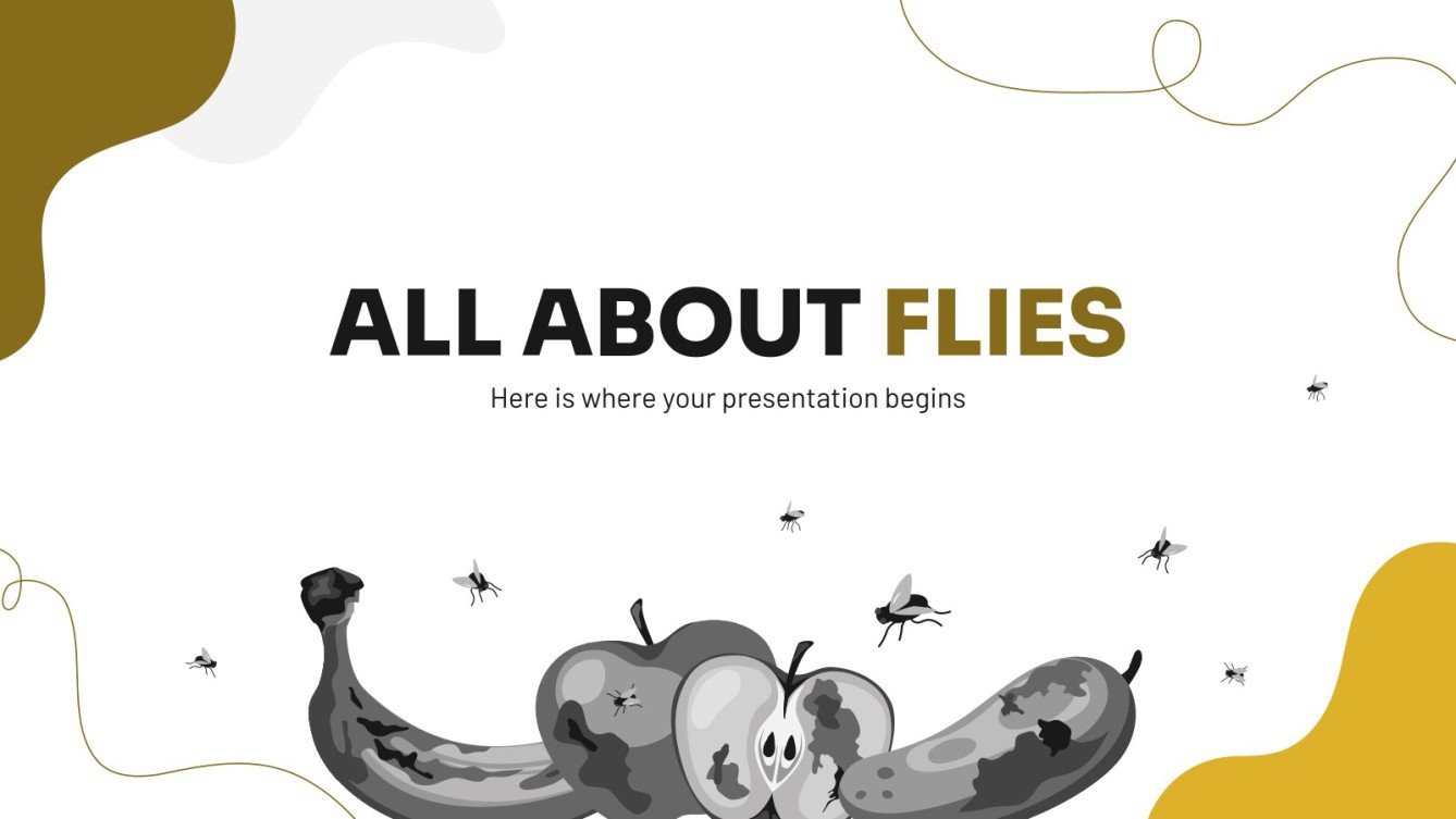 All About Flies Presentation
