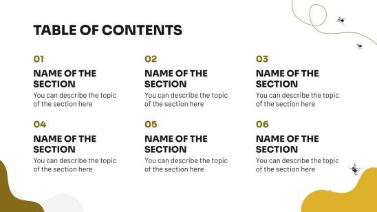 All About Flies Presentation