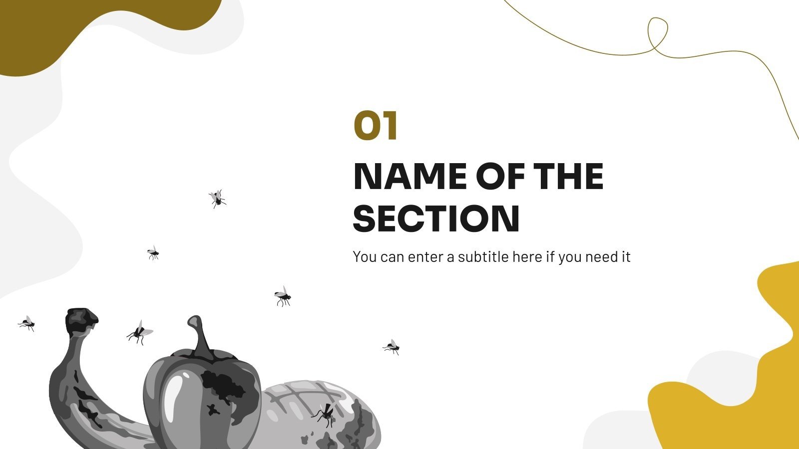 All About Flies Presentation