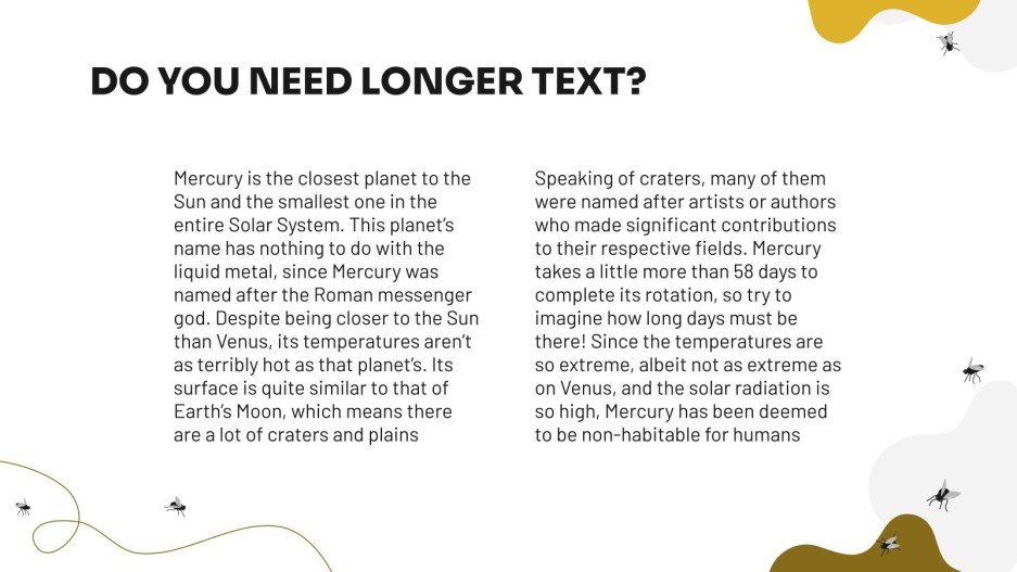 All About Flies Presentation