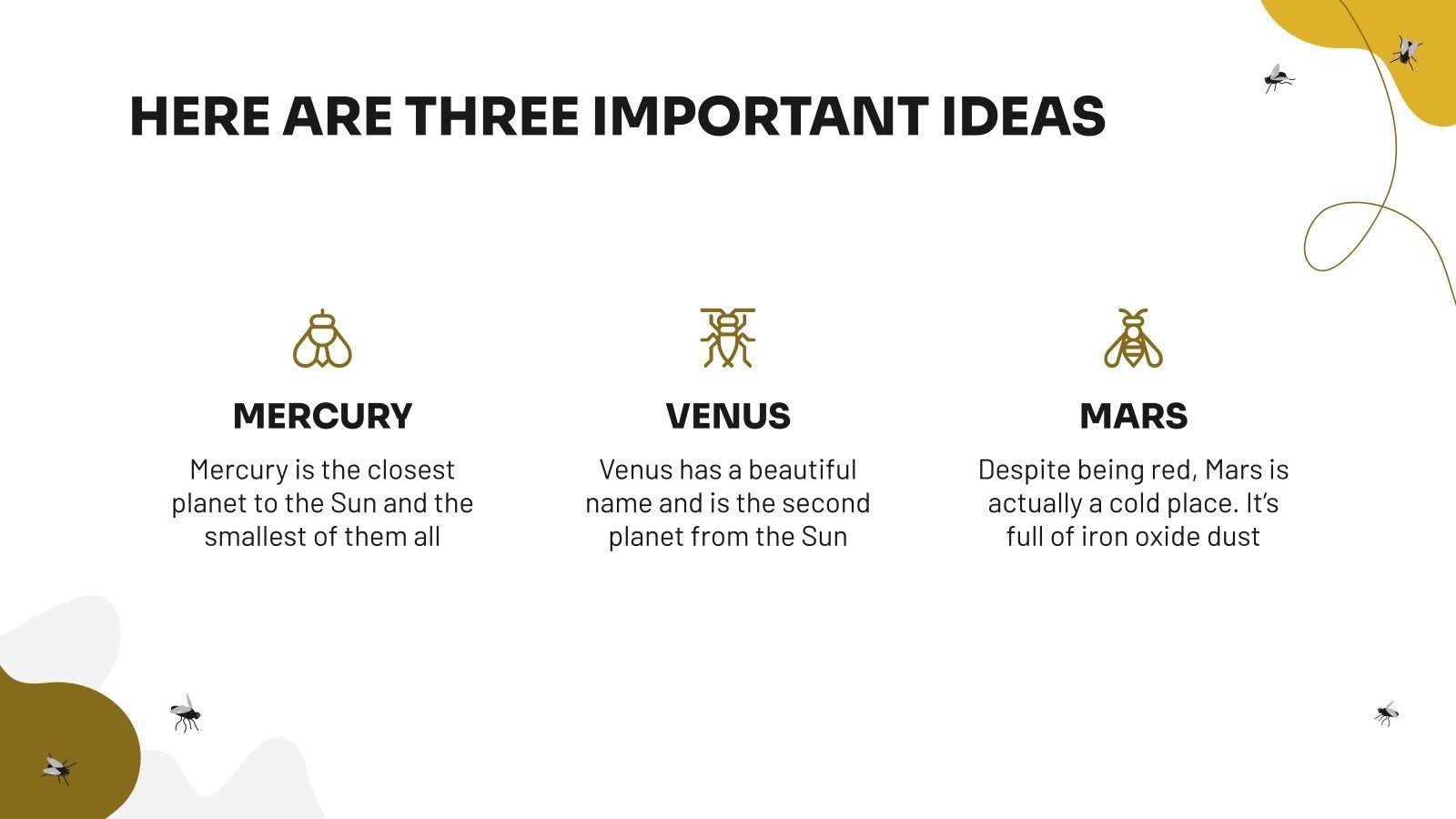 All About Flies Presentation