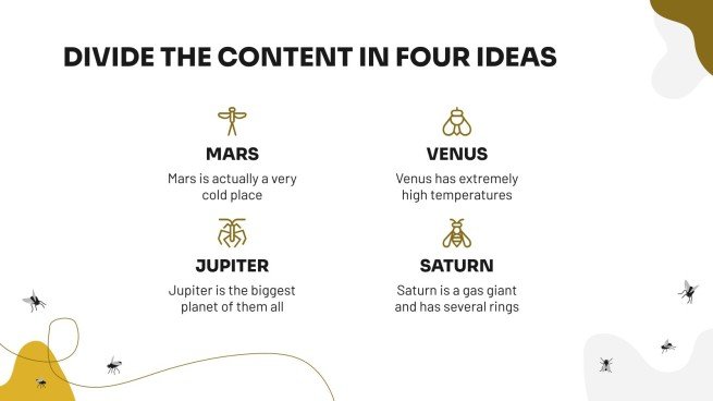 All About Flies Presentation