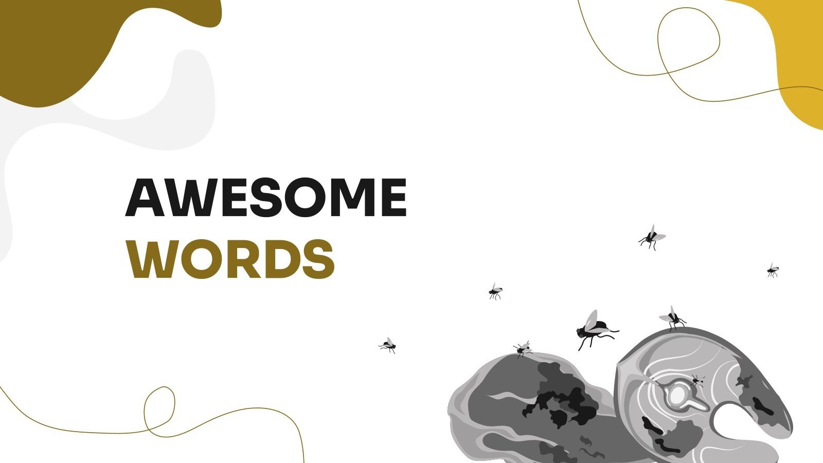 All About Flies Presentation