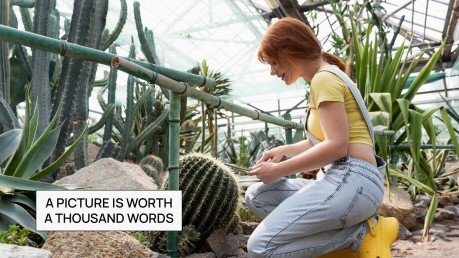 Realistic Cactus Minitheme Presentation