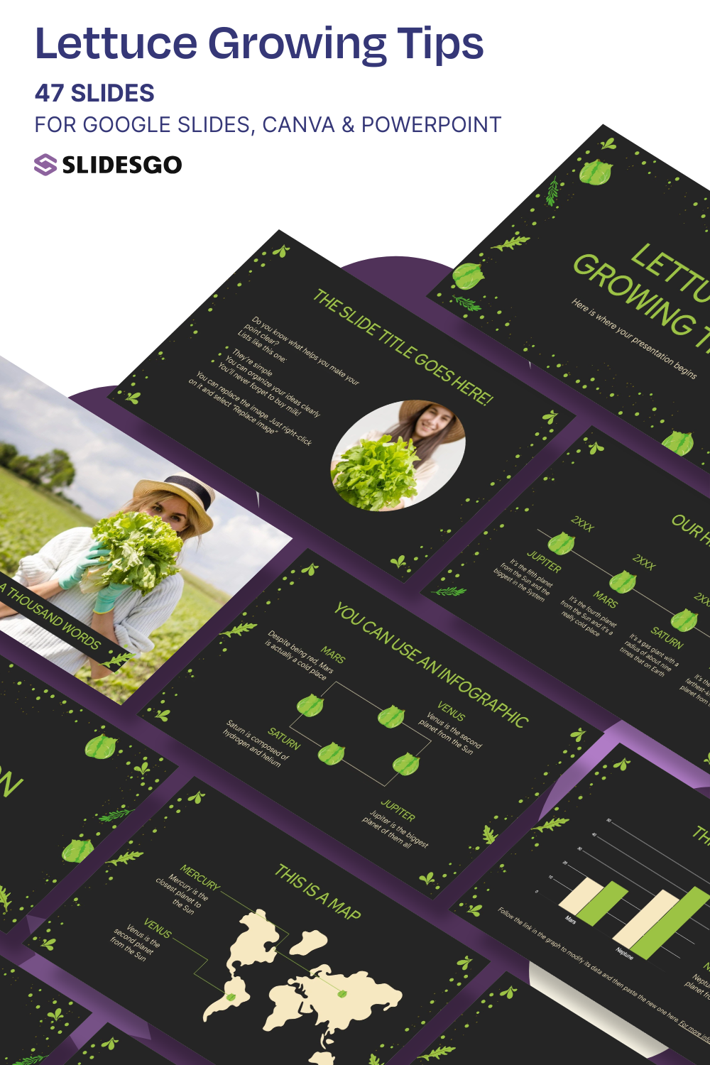 Lettuce Growing Tips Presentation