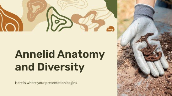 Annelid Anatomy and Diversity Presentation