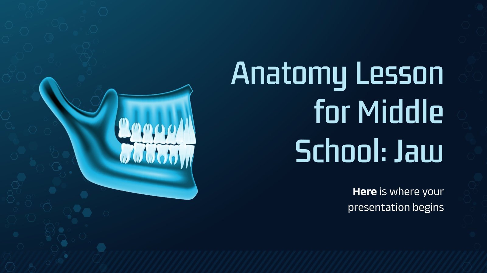 Anatomy Lesson for Middle School: Jaw Presentation