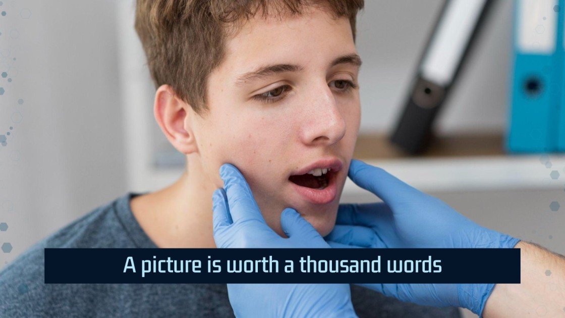 Anatomy Lesson for Middle School: Jaw Presentation