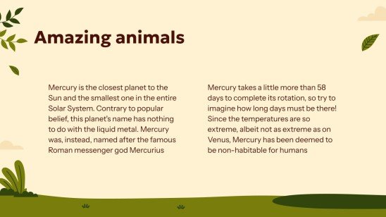 Cute Bears Theme for Education Presentation