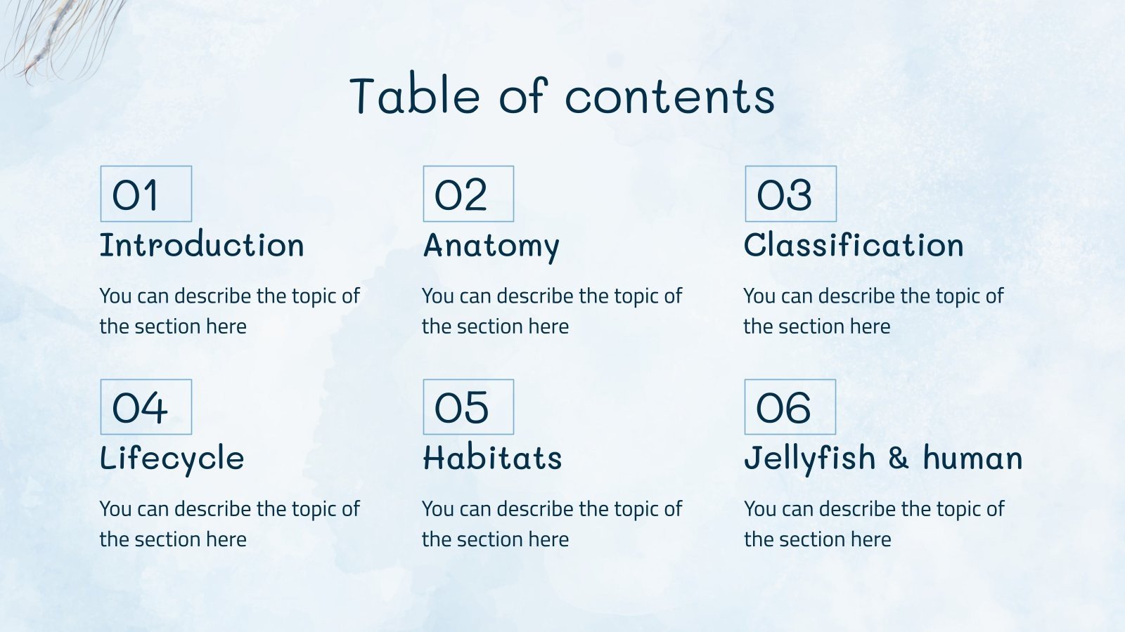 Jellyfish Theme for Education Presentation