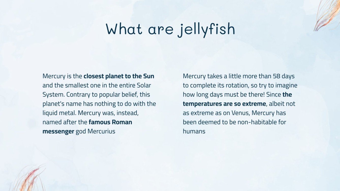 Jellyfish Theme for Education Presentation