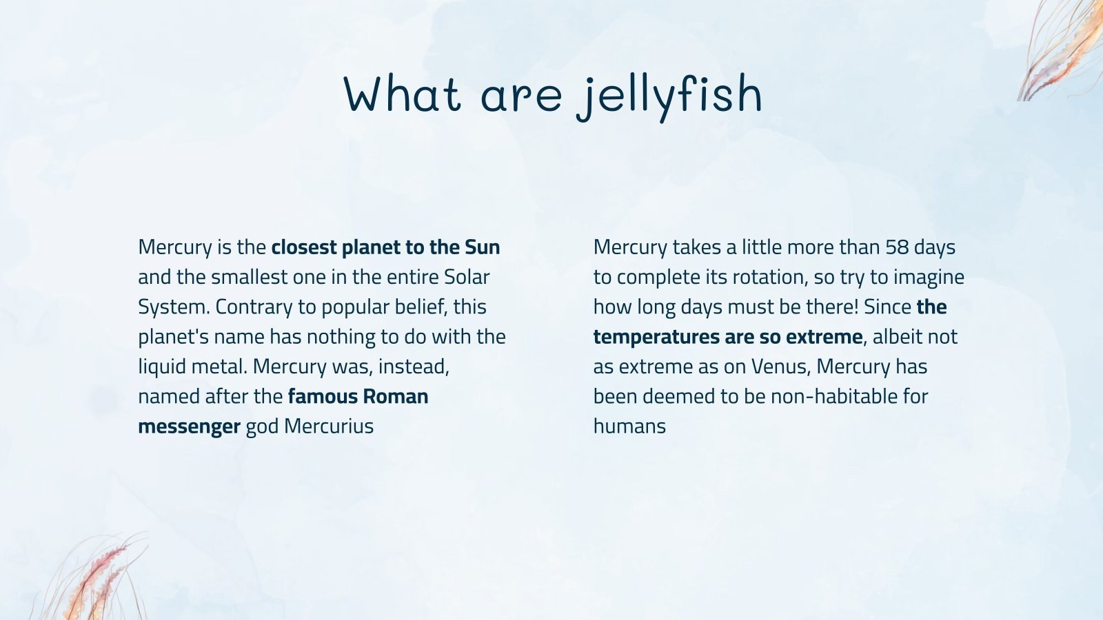 Jellyfish Theme for Education Presentation