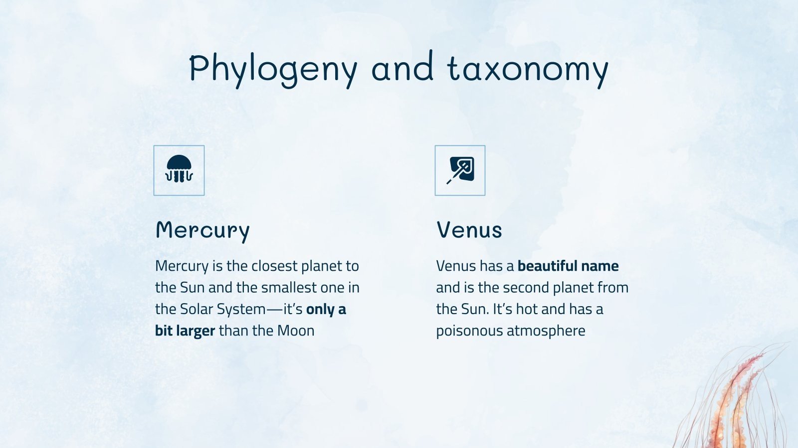 Jellyfish Theme for Education Presentation