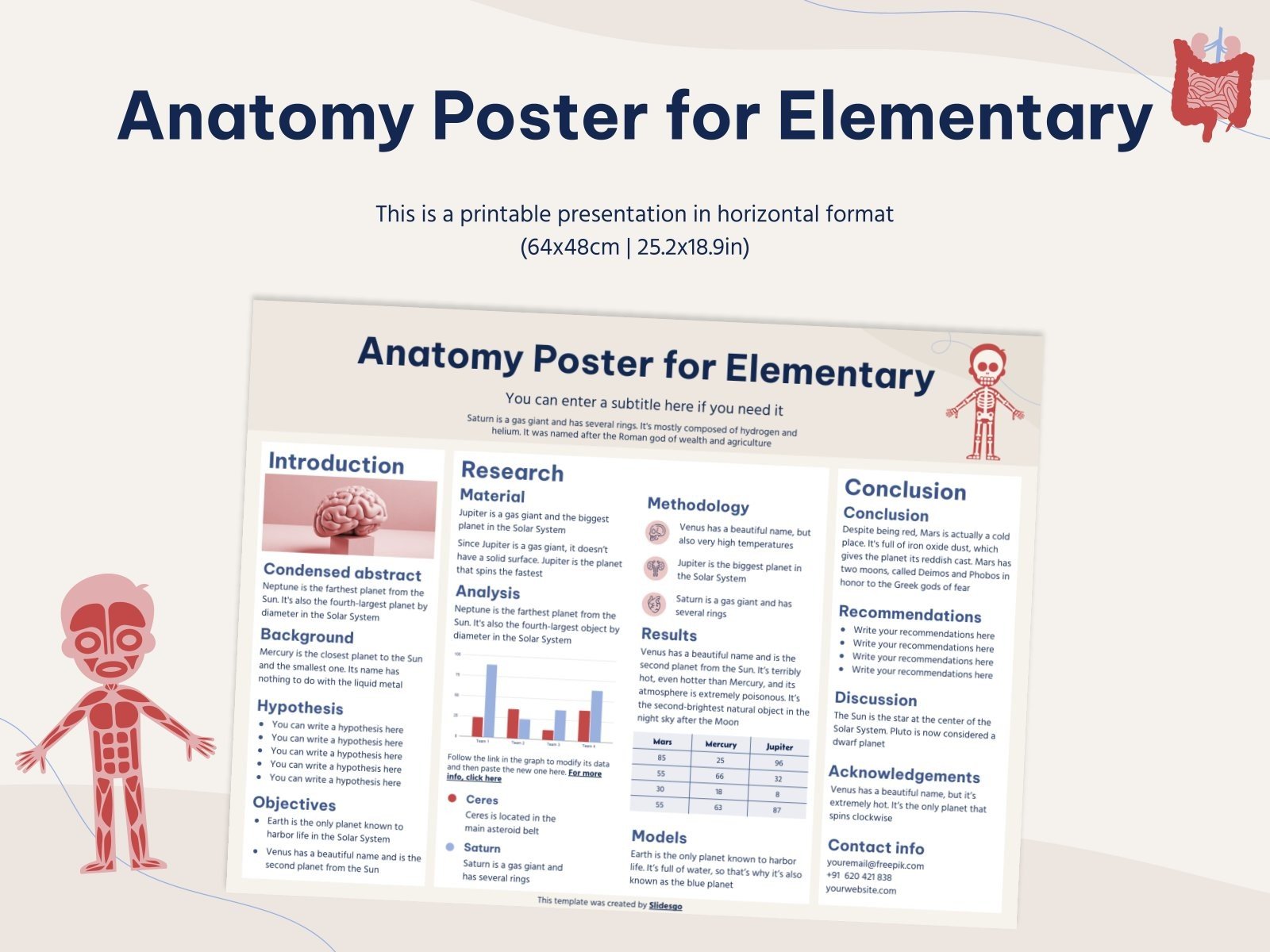 Anatomy Poster for Elementary Presentation