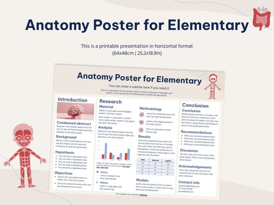 Anatomy Poster for Elementary Presentation