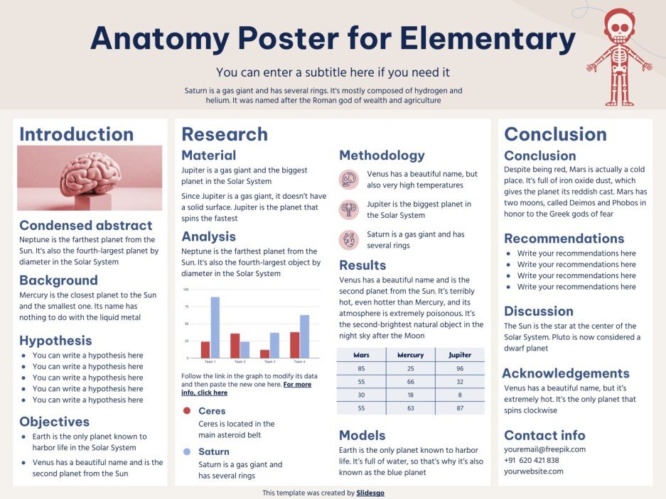 Anatomy Poster for Elementary Presentation