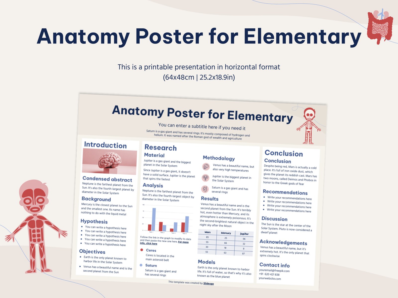 Presentación Póster de anatomía para primaria