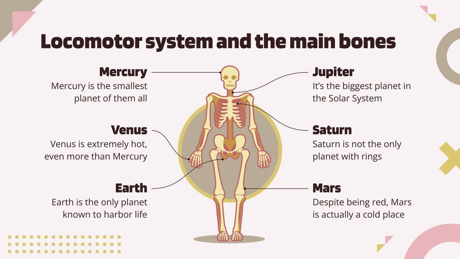 P.E. Subject for Middle School: Locomotor System
