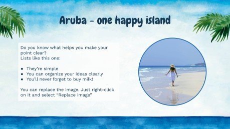 Aruba Minitheme Presentation