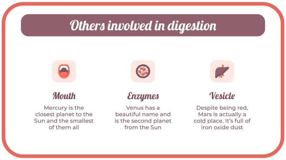 All About Digestion Lesson for Elementary Presentation