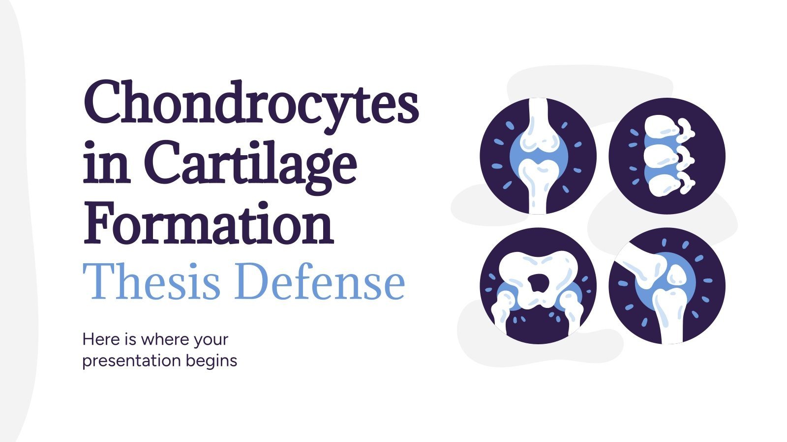 Chondrocytes in Cartilage Formation Thesis Defense