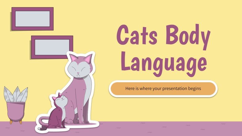 Cats Body Language Presentation