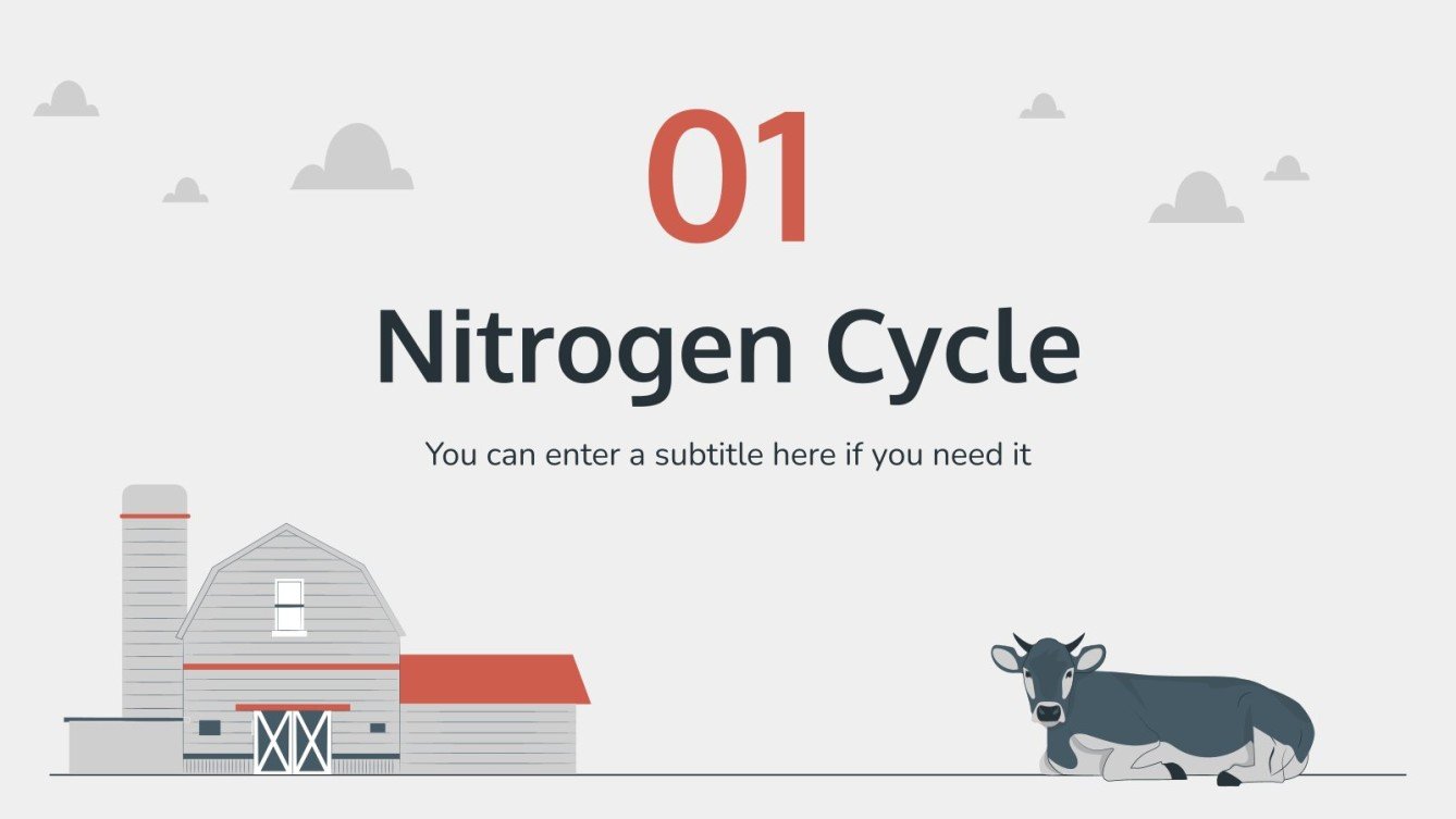 Nitrogen Cycle Presentation