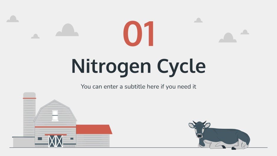 Nitrogen Cycle Presentation