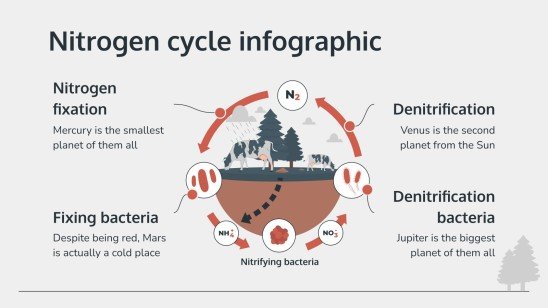 Nitrogen Cycle Presentation