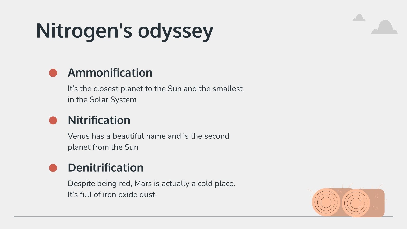 Nitrogen Cycle Presentation