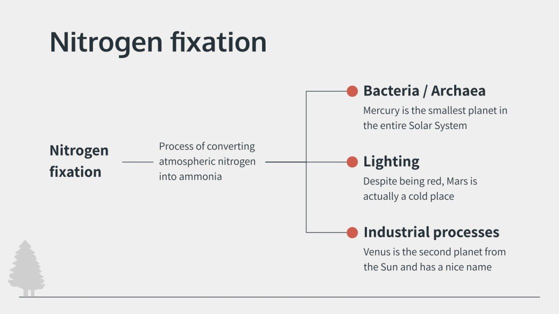 Nitrogen Cycle Presentation