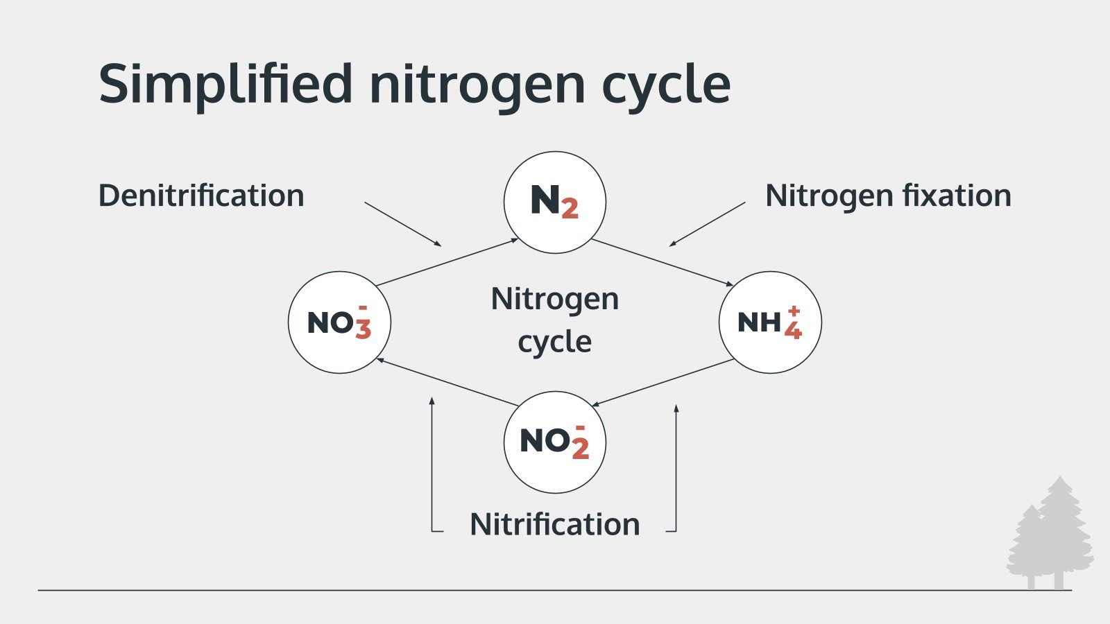 Nitrogen Cycle Presentation