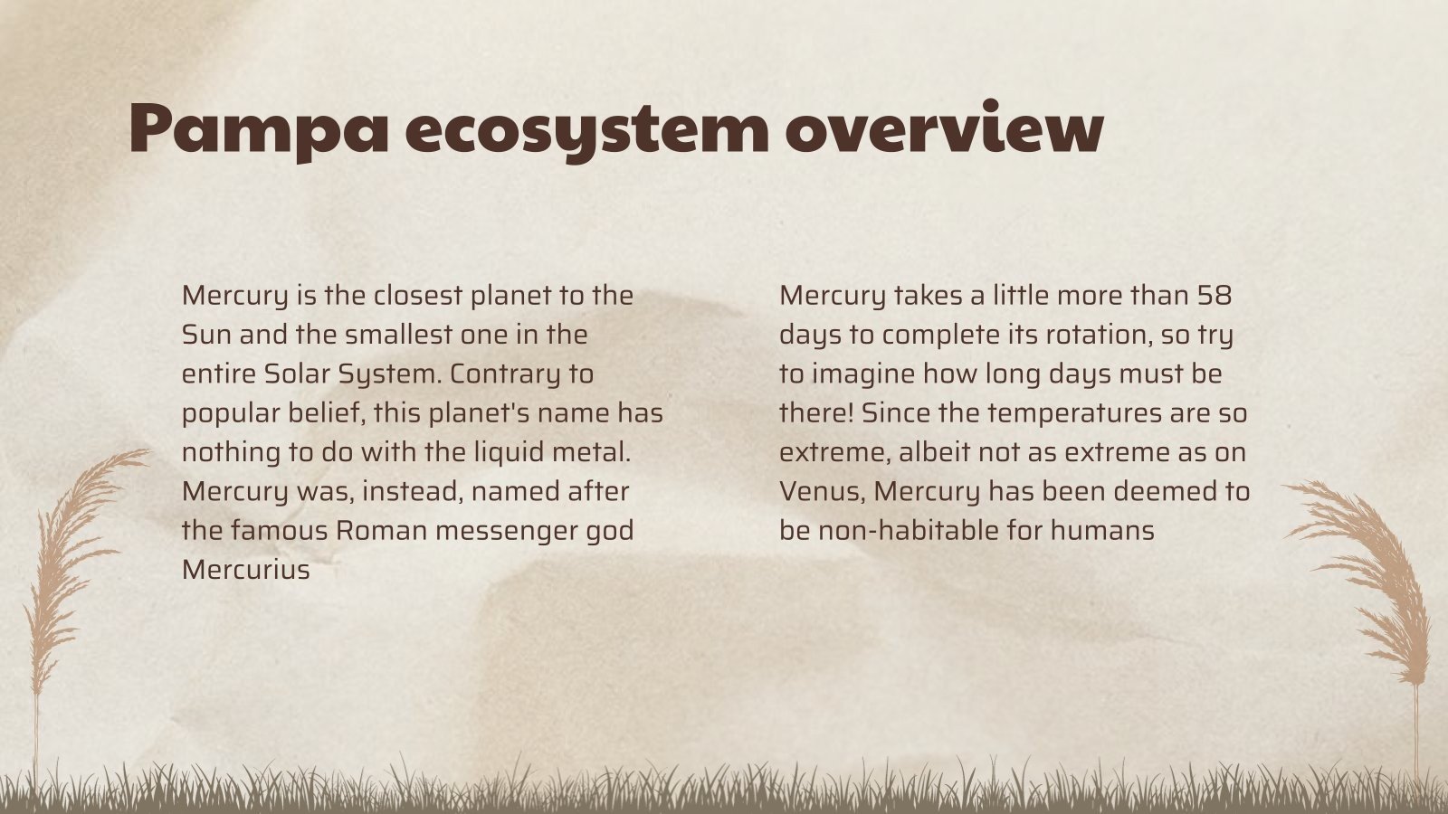 Pampa Ecosystem and Wildlife Presentation