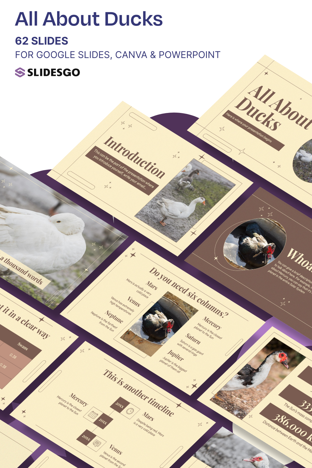 All About Ducks Presentation