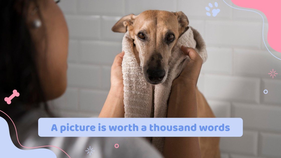 Pet Sitter CV Presentation