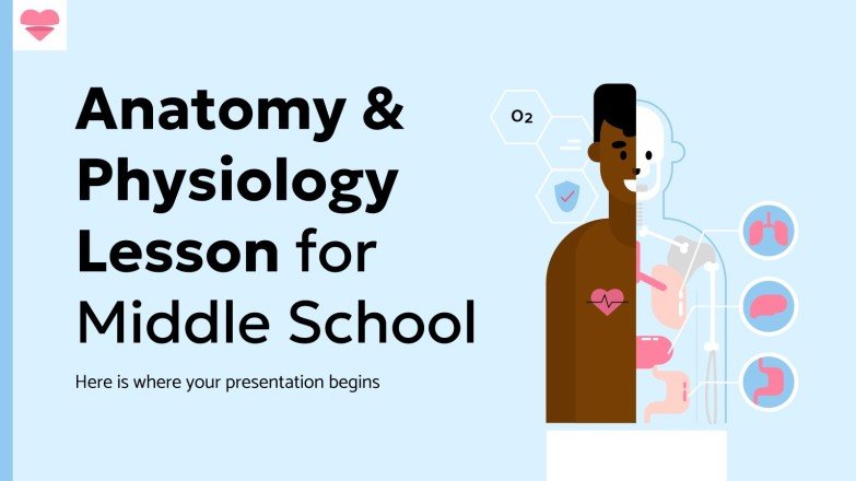 Anatomy & Physiology Lesson for Middle School Presentation