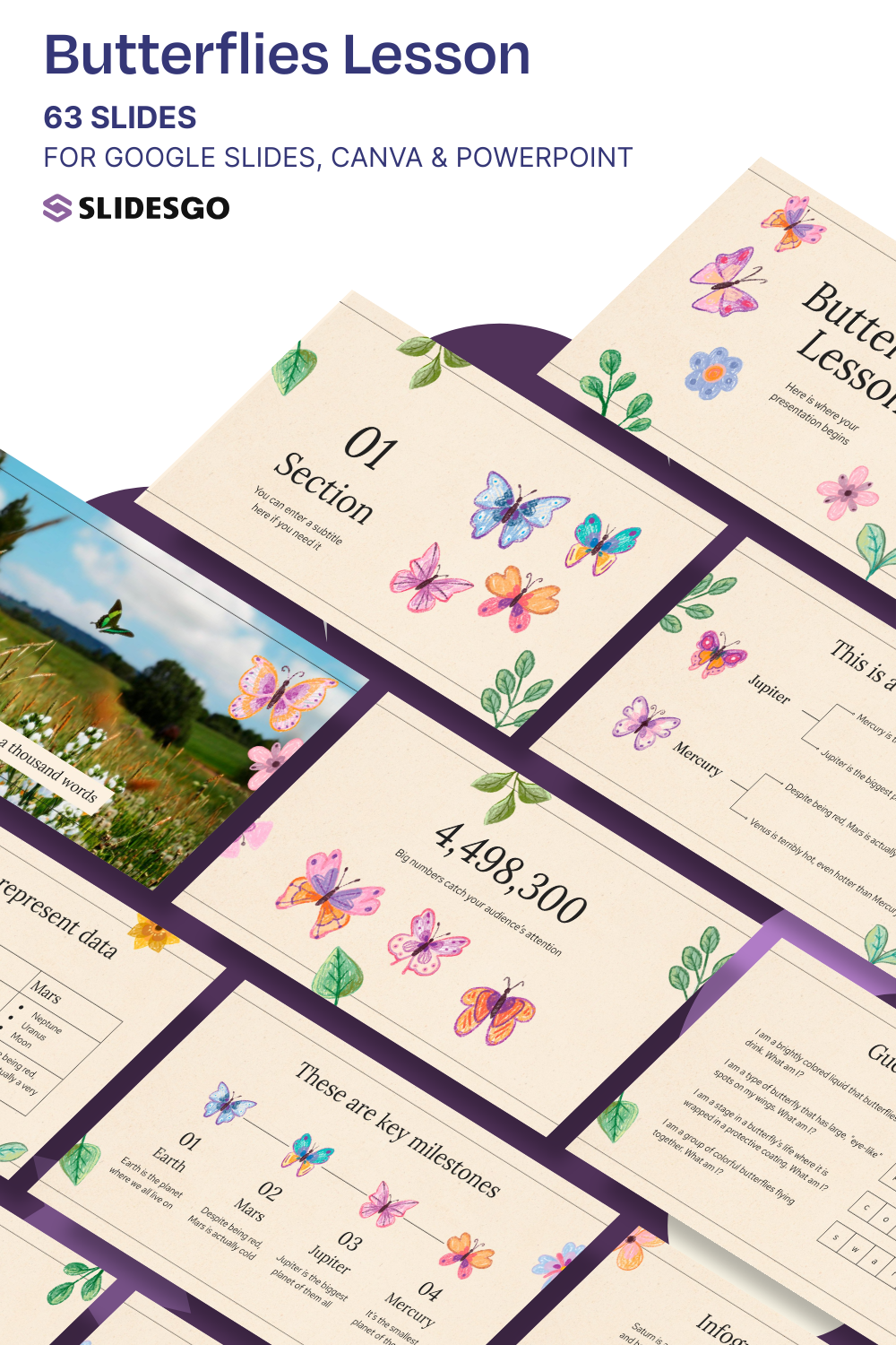 Butterflies Lesson Presentation