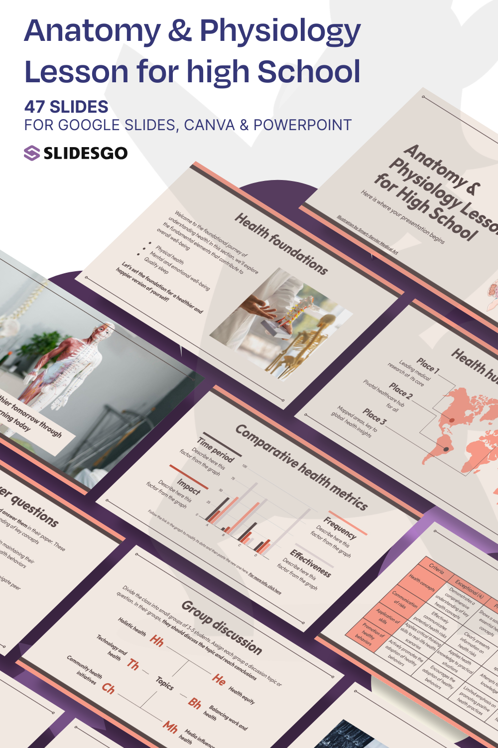Anatomy & Physiology Lesson for high School Presentation