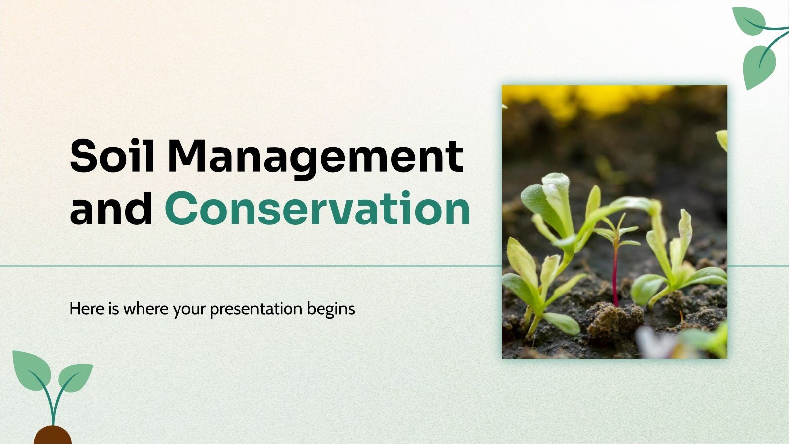 Presentación Manejo y Conservación del Suelo