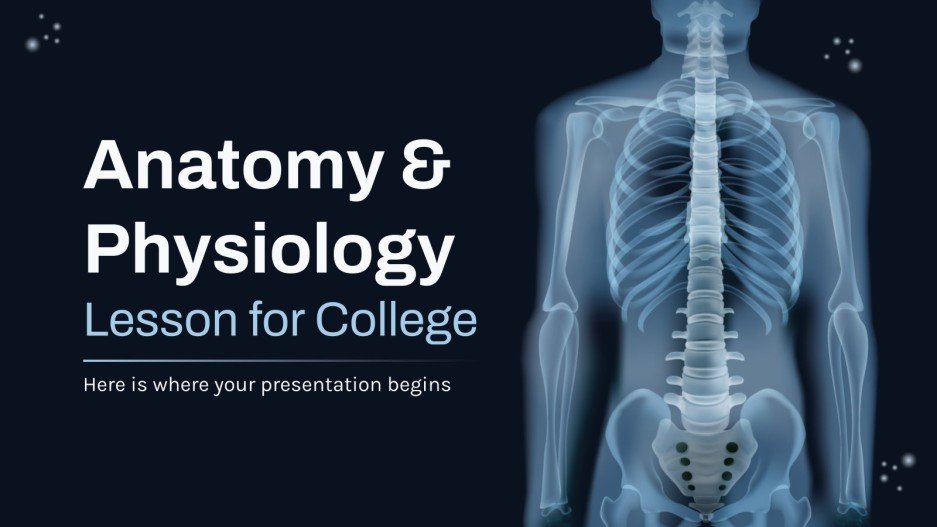 Anatomy & Physiology Lesson for College Presentation