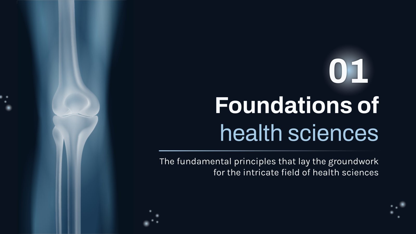 Anatomy & Physiology Lesson for College Presentation