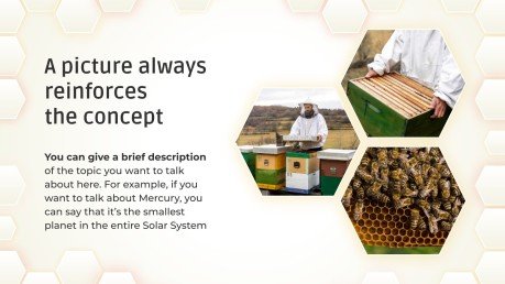 Beekeeping Workshop Presentation
