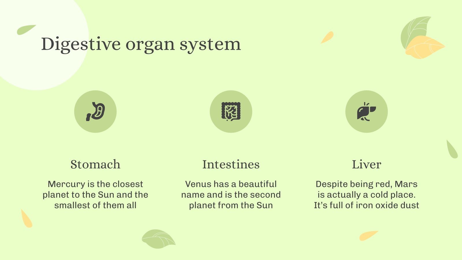 Science Subject for Middle School: Body Organs Presentation